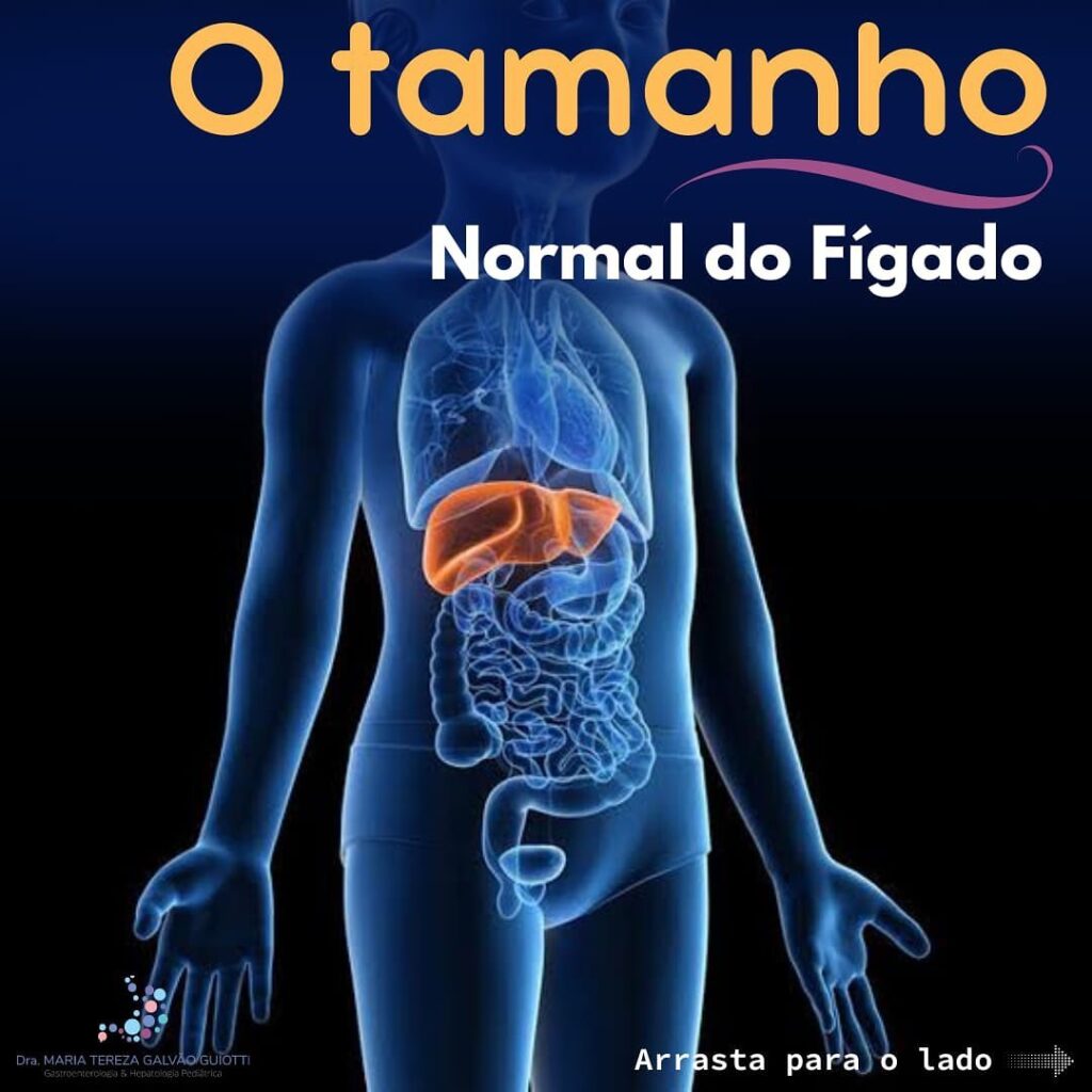 Qual o tamanho normal do fígado? - Dra. Maria Tereza Pediatra ...